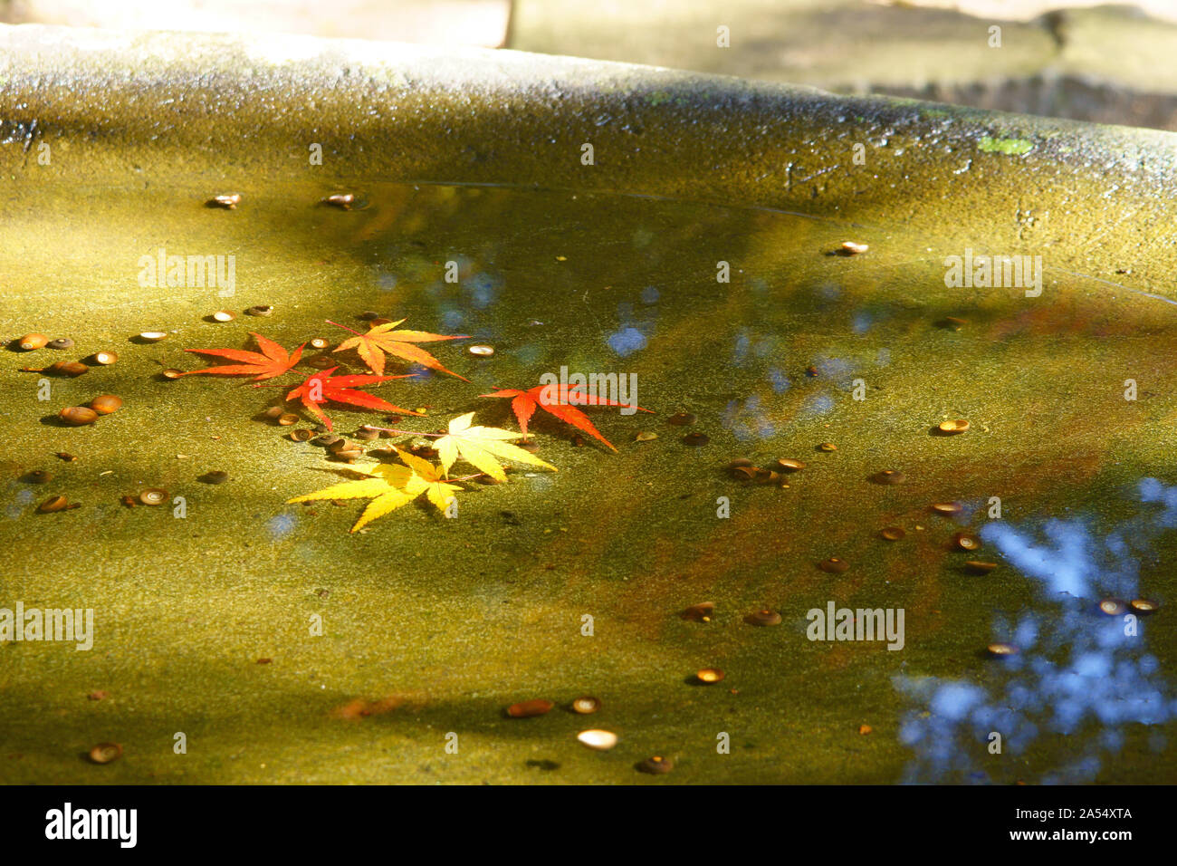 Japanese hand washing bowl Stock Photo - Alamy