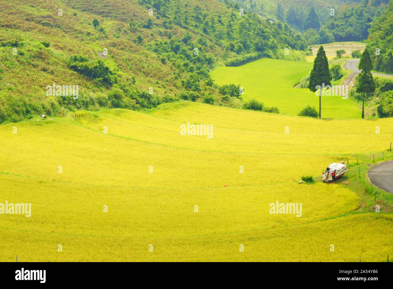 Terraced paddy field hi-res stock photography and images - Alamy