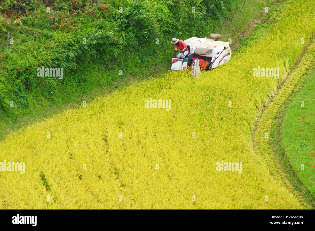 Terraced paddy field hi-res stock photography and images - Alamy
