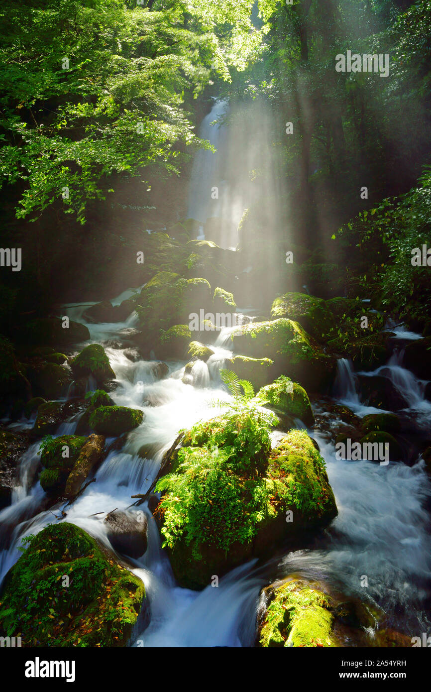 Kumamoto prefecture, japan waterfall hi-res stock photography and ...