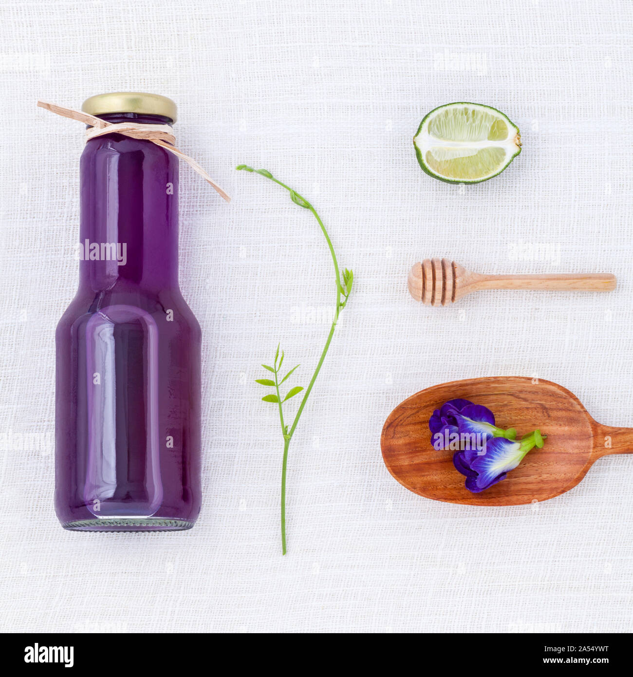 pigeon wing pea healthy drinking water on white table Stock Photo - Alamy