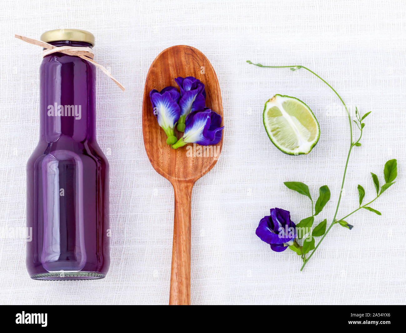 pigeon wing pea healthy drinking water on white table Stock Photo - Alamy