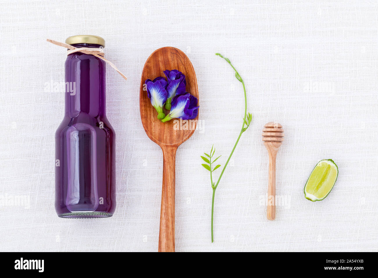 pigeon wing pea healthy drinking water on white table Stock Photo - Alamy