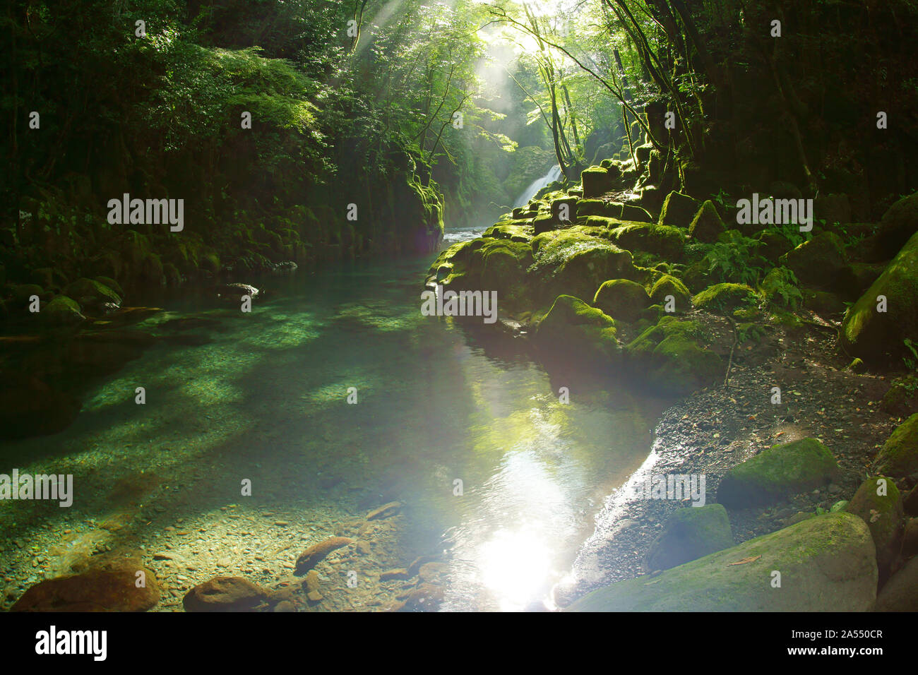 Kikuchi Gorge Stock Photos & Kikuchi Gorge Stock Images - Alamy