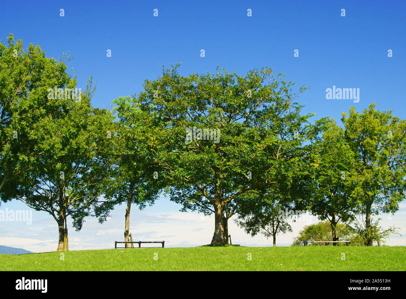 Suizenji Ezuko Park, Kumamoto Prefecture, Japan Stock Photo - Alamy