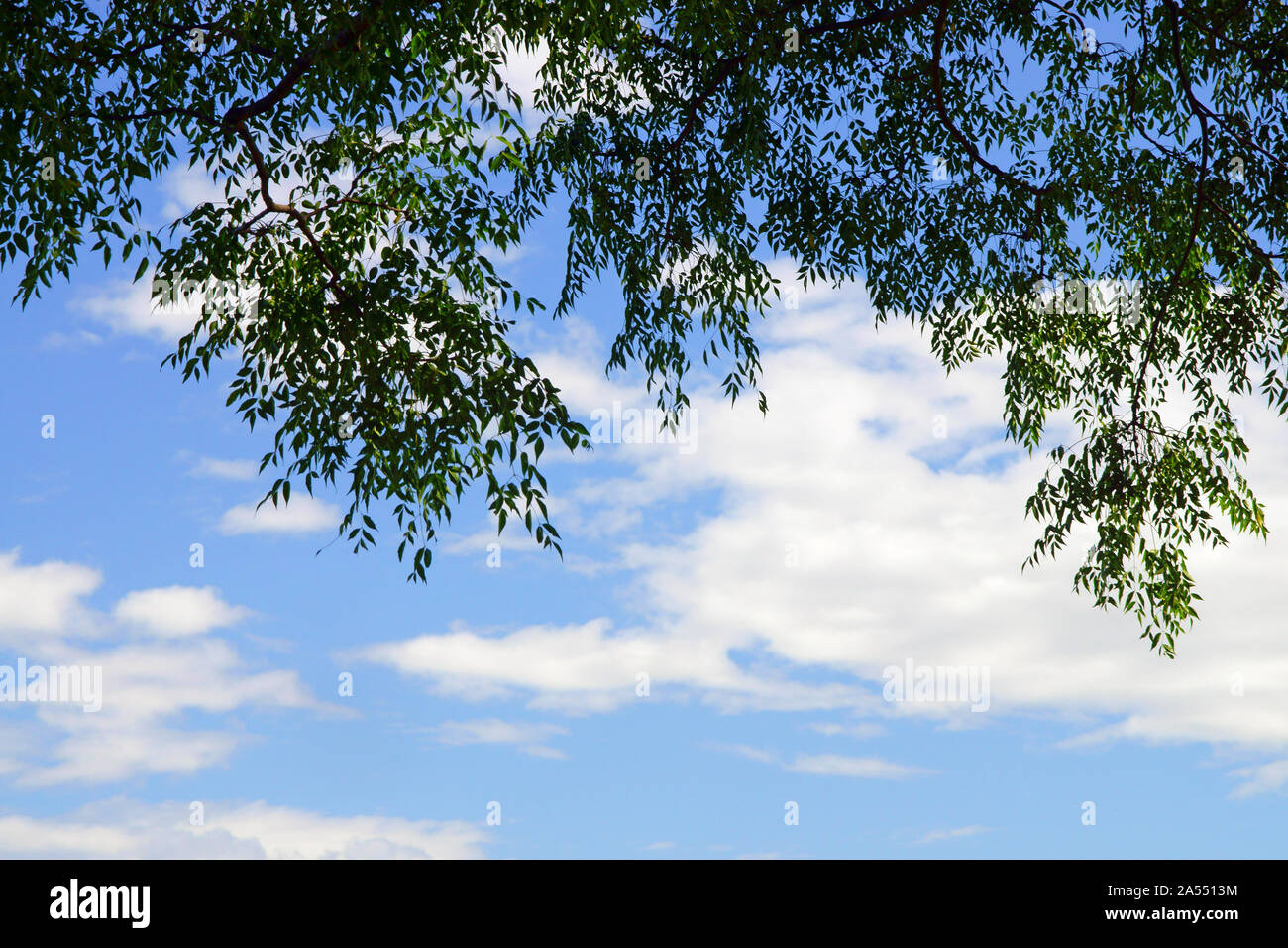 Suizenji Ezuko Park, Kumamoto Prefecture, Japan Stock Photo - Alamy