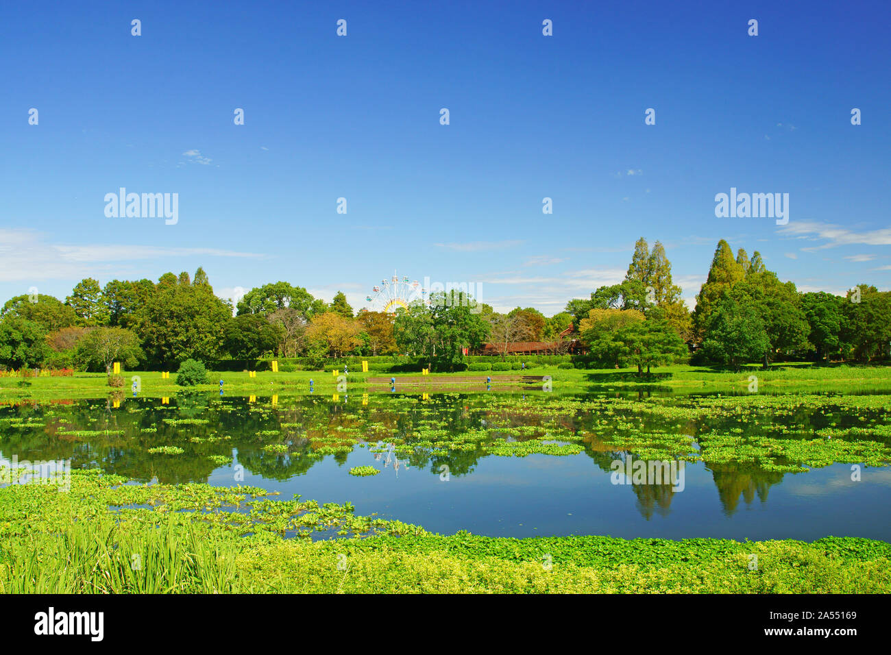Suizenji Ezuko Park, Kumamoto Prefecture, Japan Stock Photo - Alamy