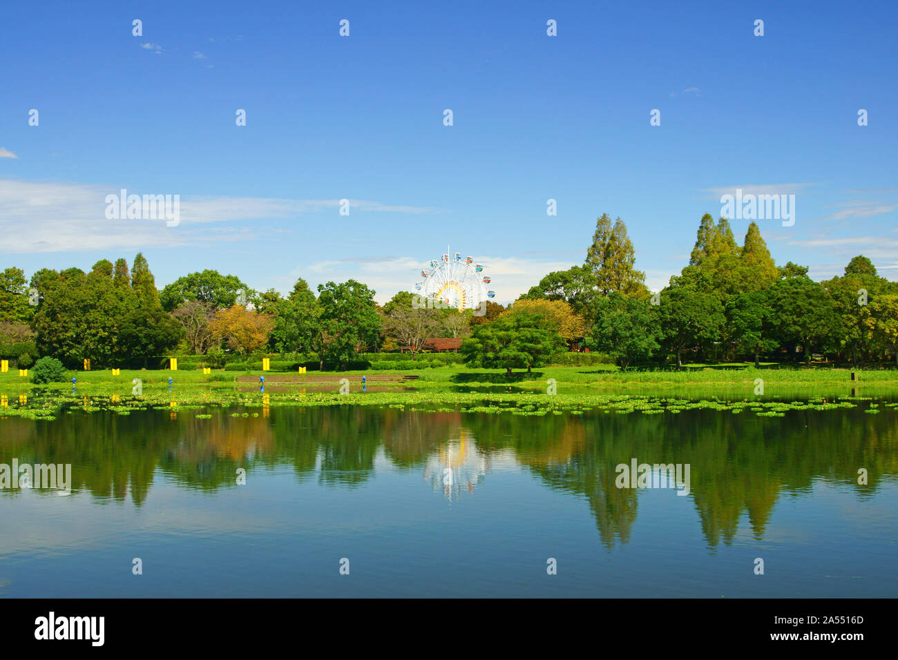 Suizenji Ezuko Park, Kumamoto Prefecture, Japan Stock Photo - Alamy