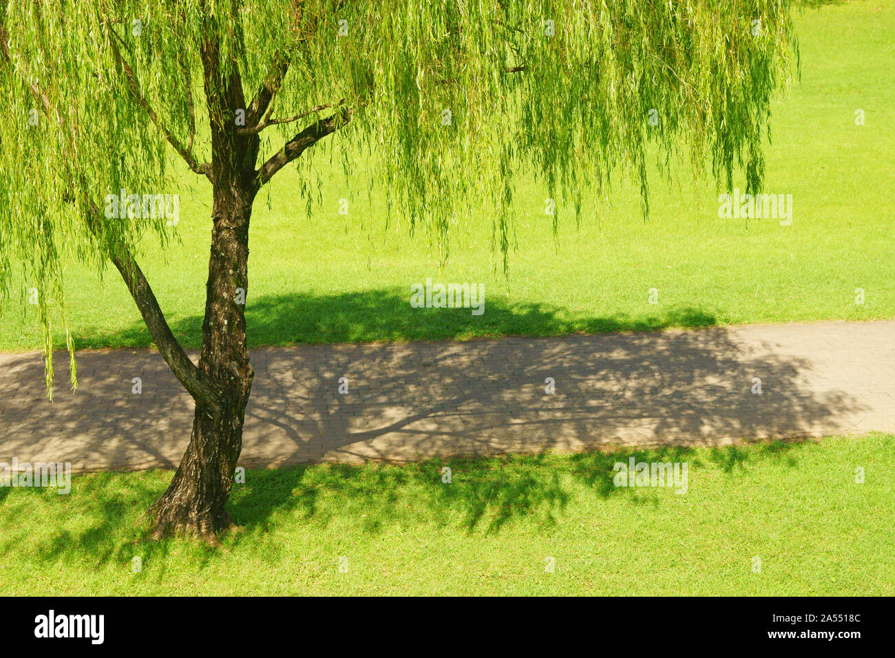 Suizenji Ezuko Park, Kumamoto Prefecture, Japan Stock Photo - Alamy