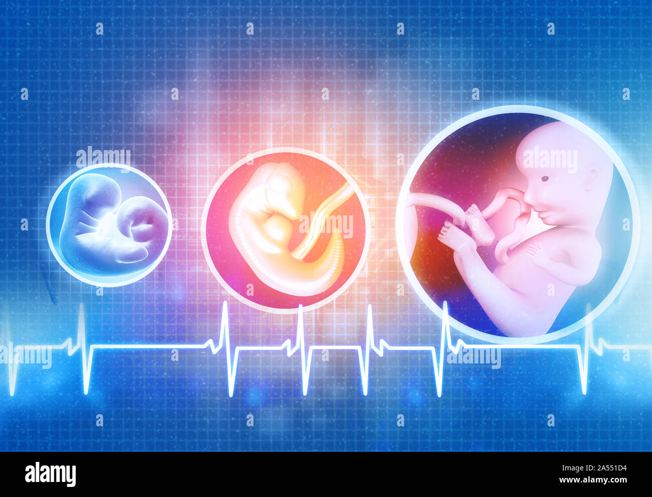 Human fetus development. 3d illustration Stock Photo - Alamy