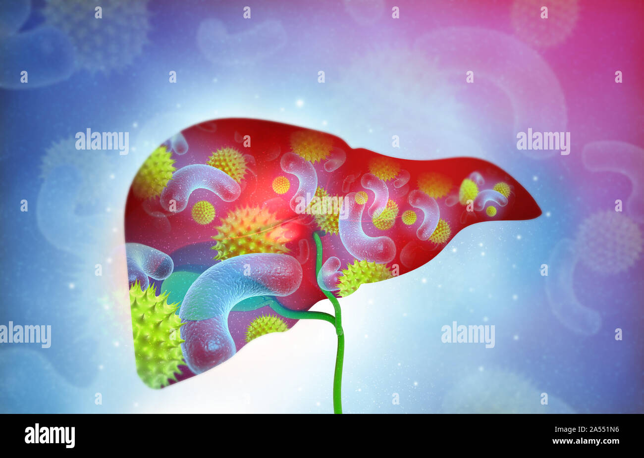 Bacterial cell anatomy hi-res stock photography and images - Alamy