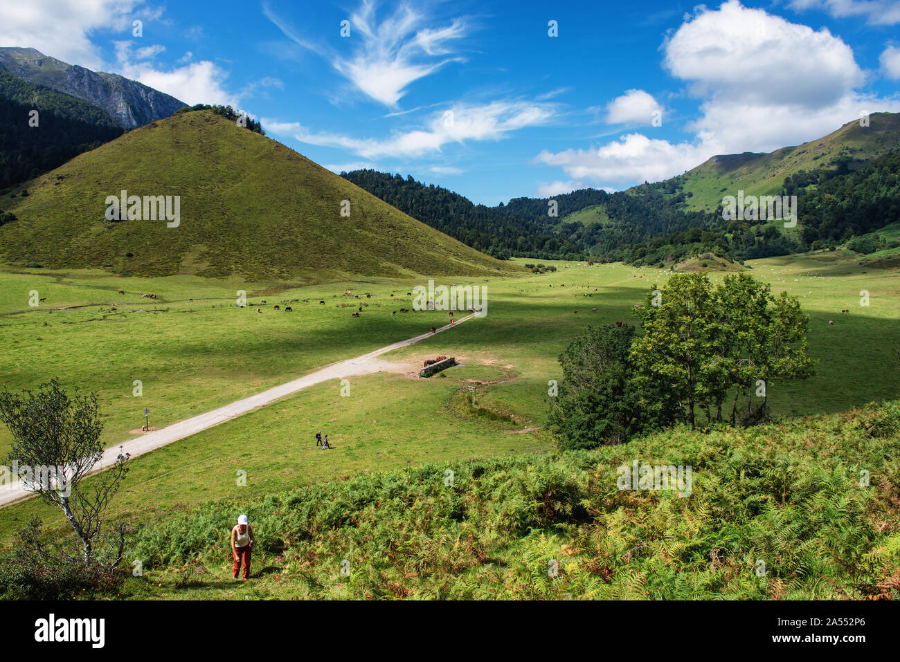 a view of the Pyrenees mountain (plateau du benou Stock Photo - Alamy