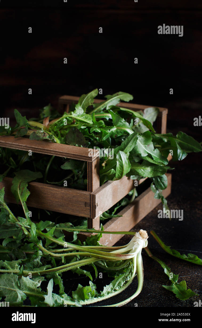 Fresh wild italian chicory Stock Photo - Alamy