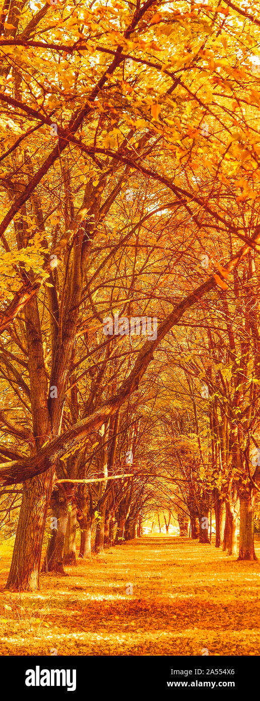 Seasonal travel, retro backdrop and rural environment concept ...