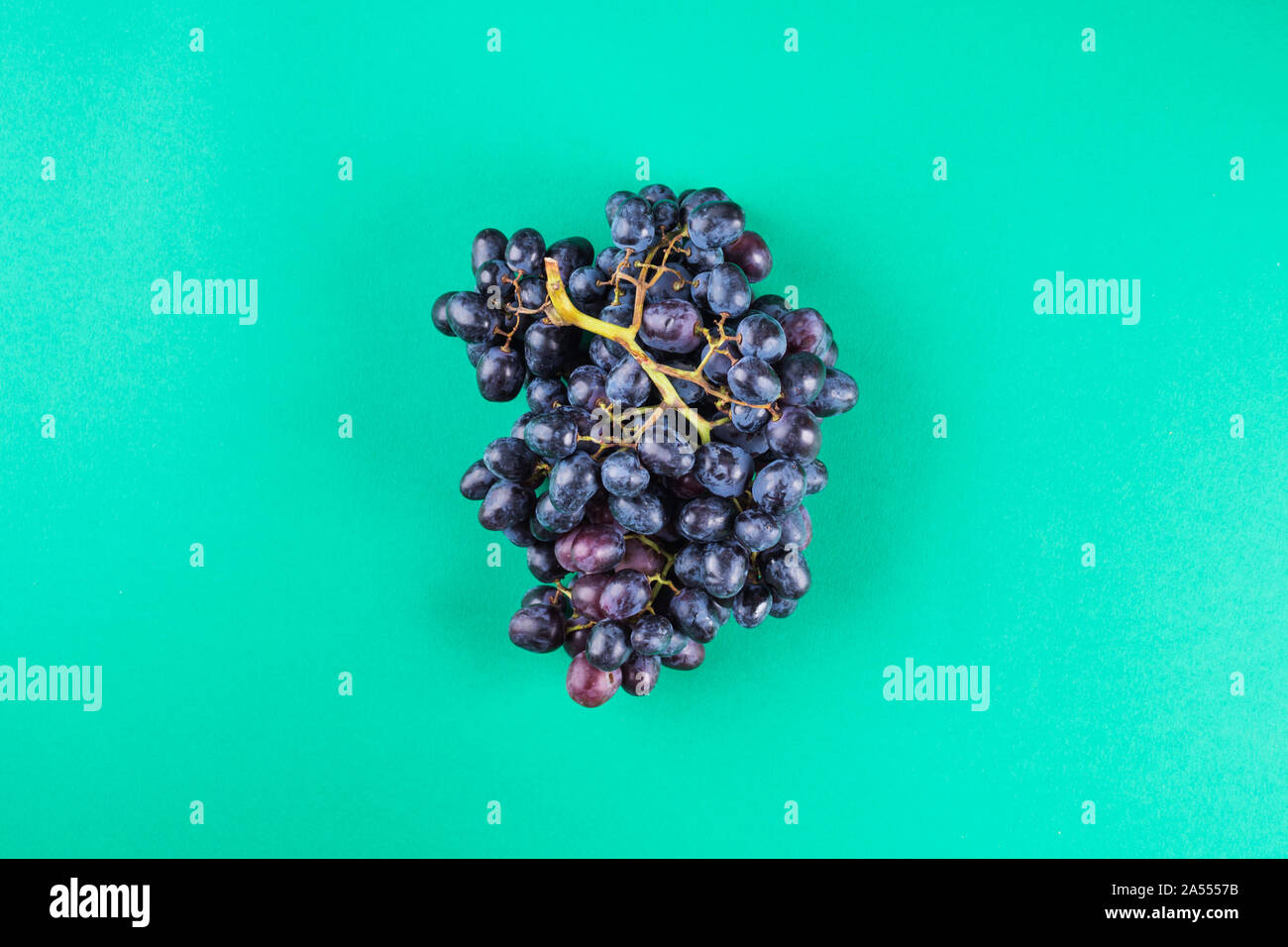 Fresh dark garpes on green background. Autumn fruit Stock Photo - Alamy