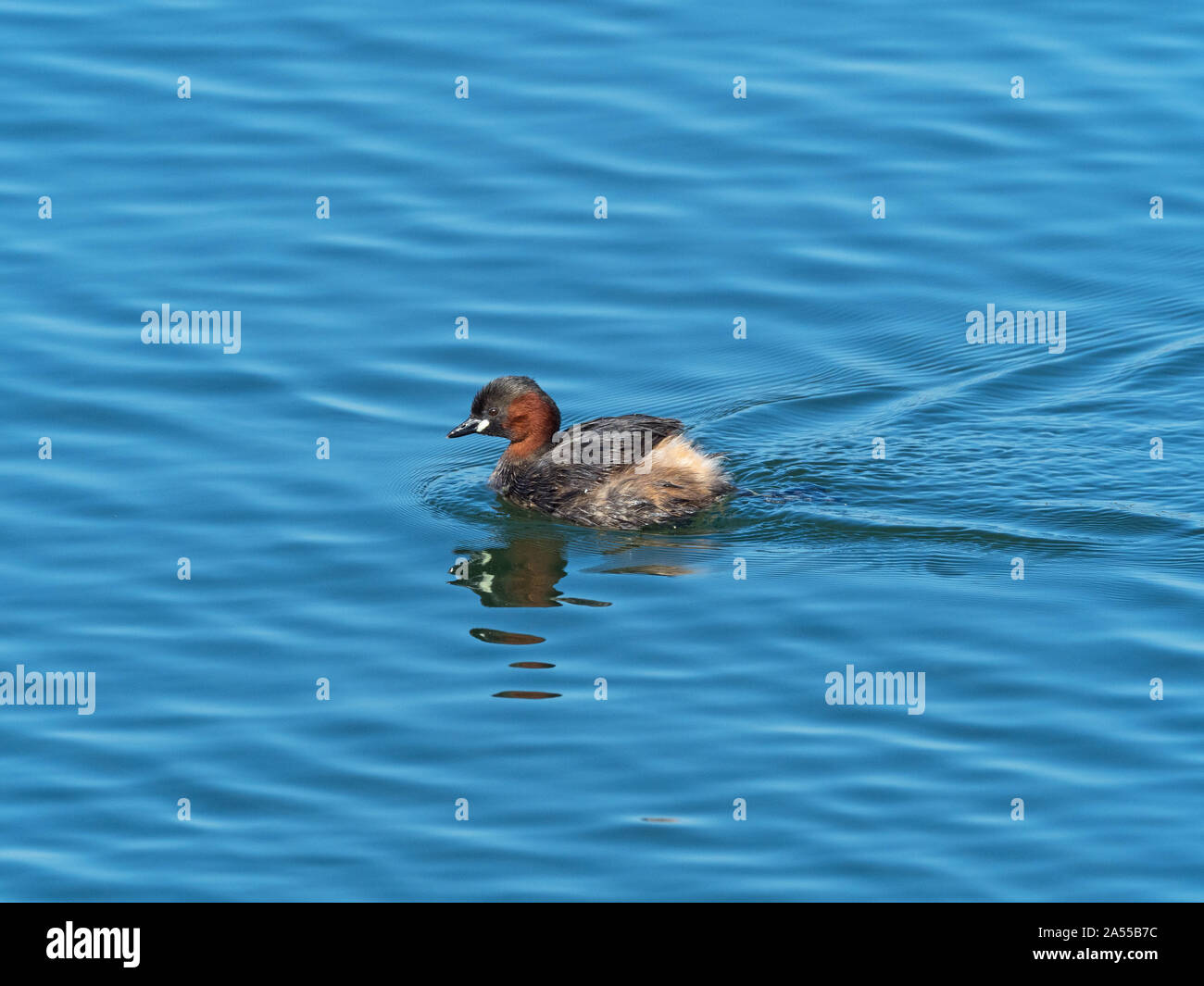 Little ellingham hi-res stock photography and images - Alamy