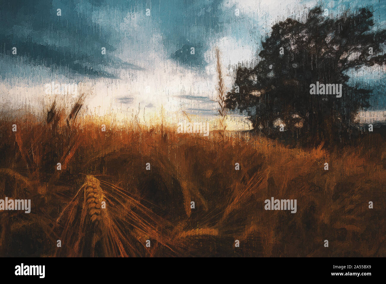 Into the Fields Stock Photo - Alamy