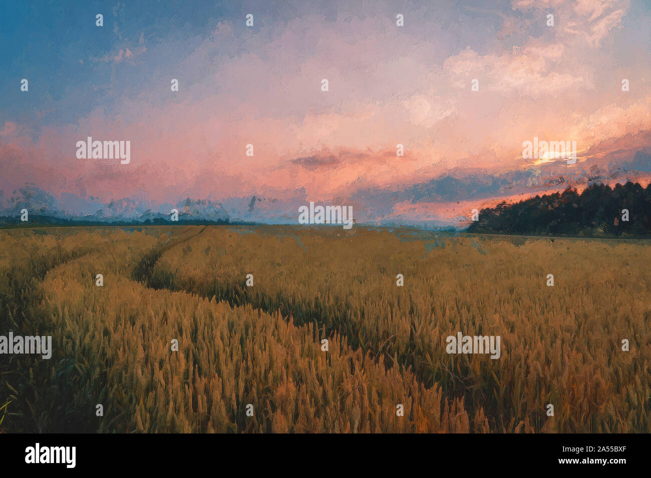 Into the Fields Stock Photo - Alamy