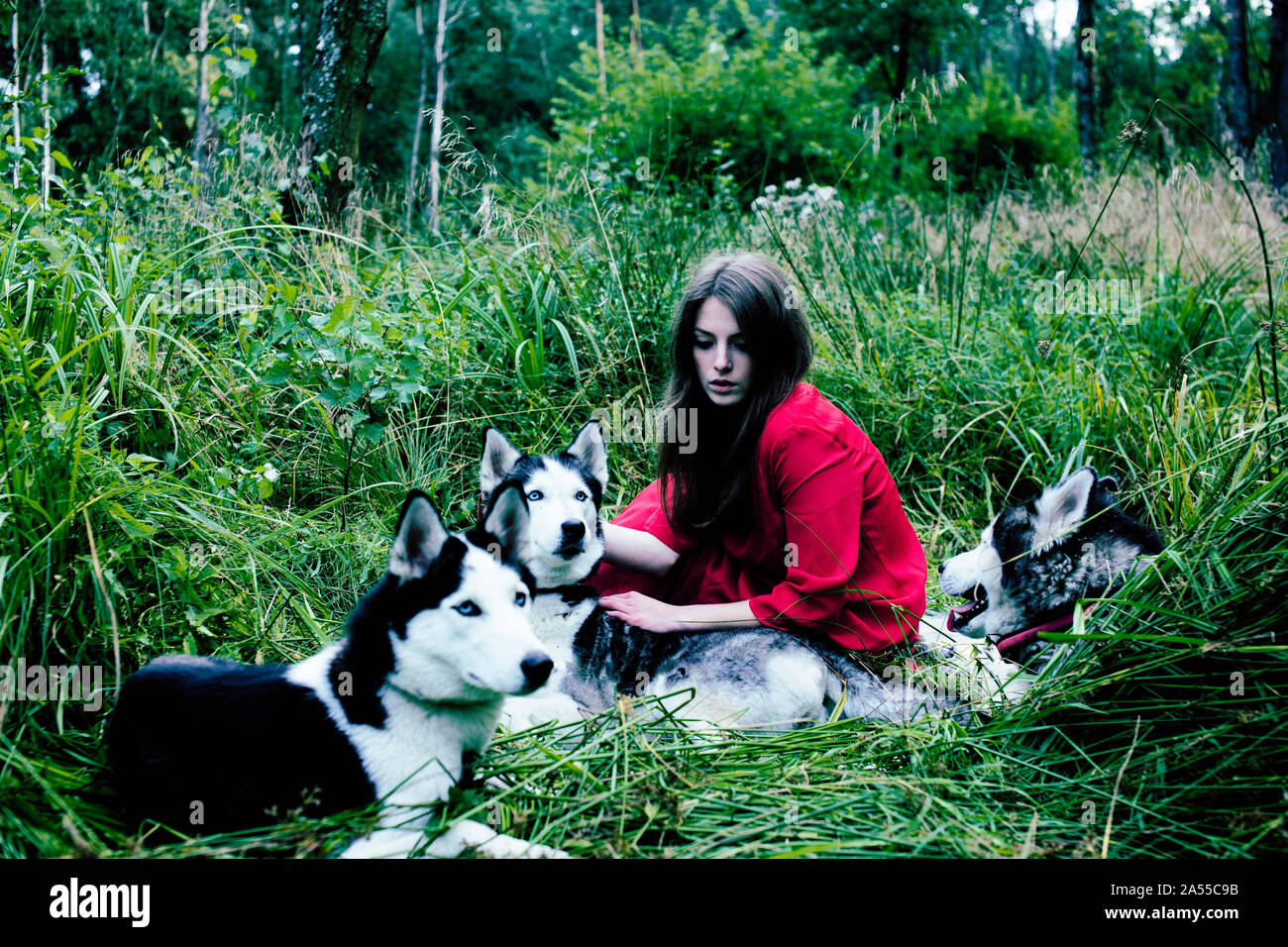 The wolfs tale hi-res stock photography and images - Alamy