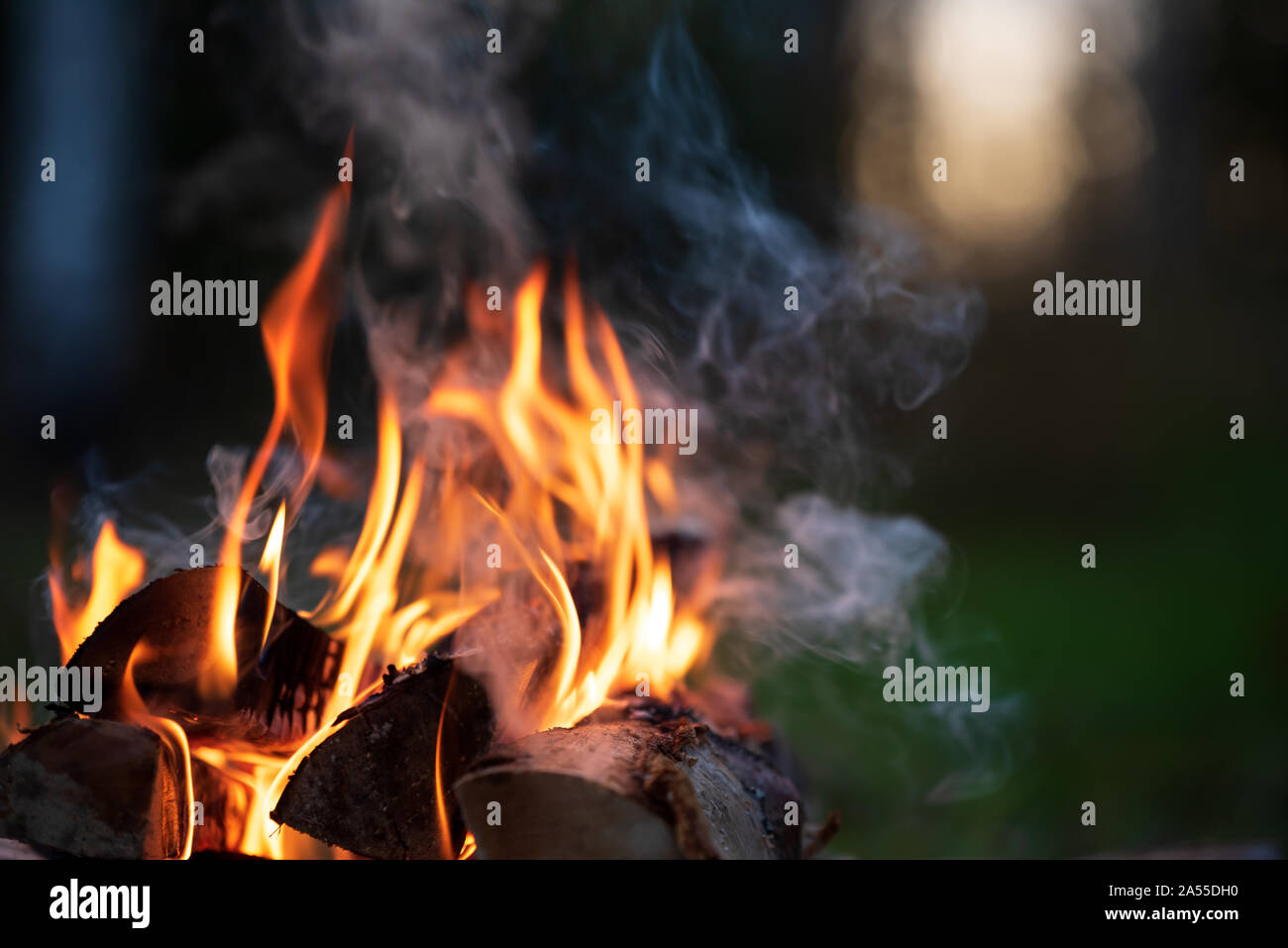 Burning woodland fire hi-res stock photography and images - Alamy