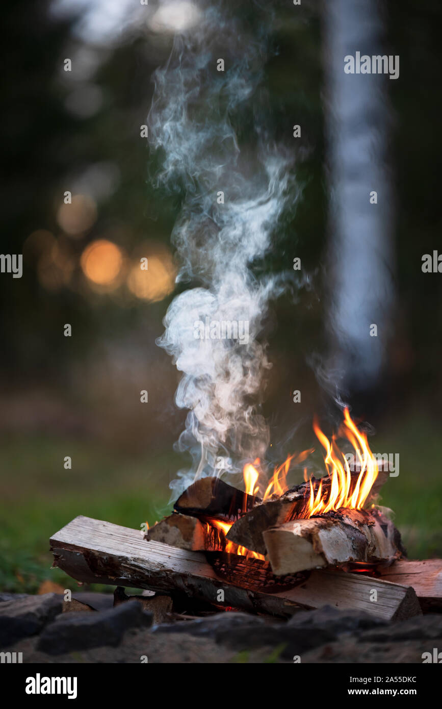Campfire in the summer forest hi-res stock photography and images - Alamy