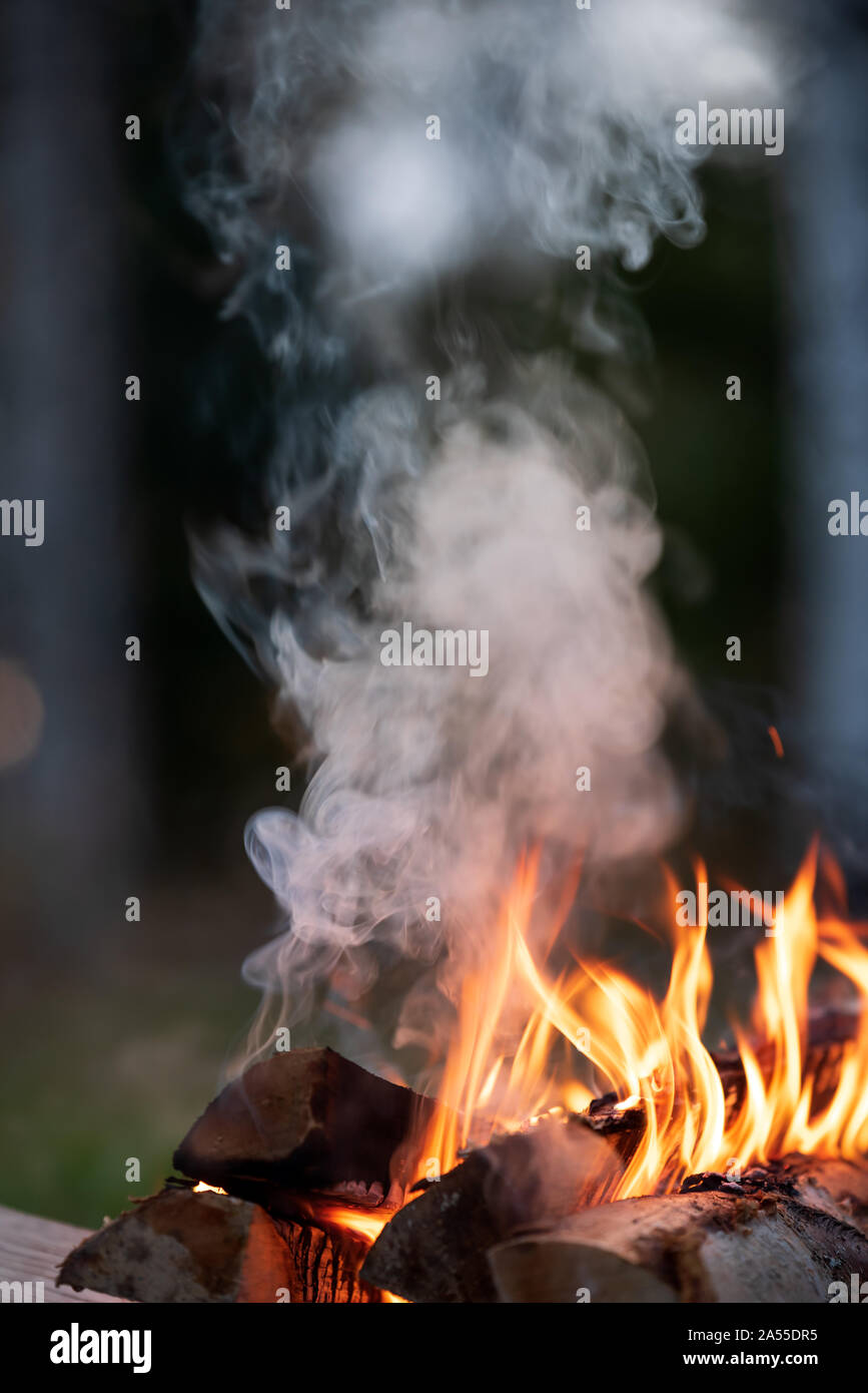 Burning campfire, flames and smoke Stock Photo - Alamy