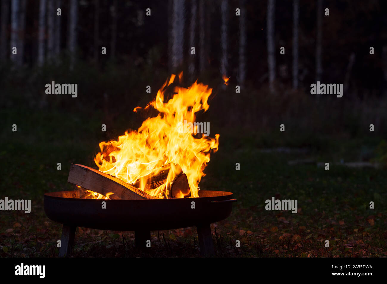 Campfire in summer evening hi-res stock photography and images - Alamy