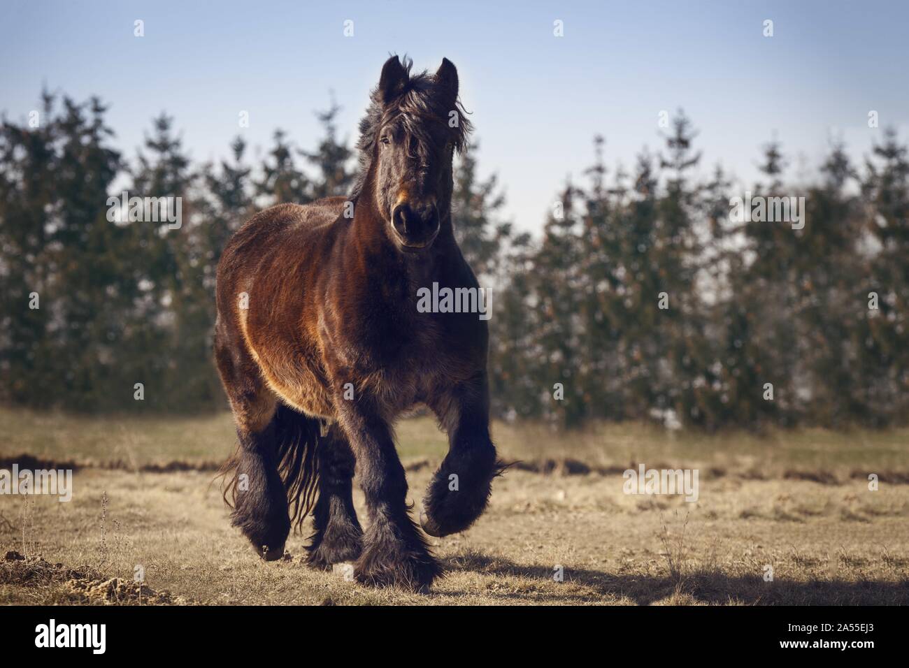 running cold blood Stock Photo - Alamy