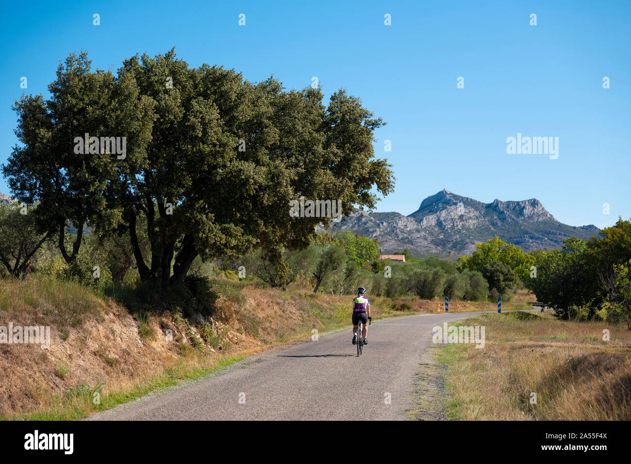 Female french cyclist hi-res stock photography and images - Alamy