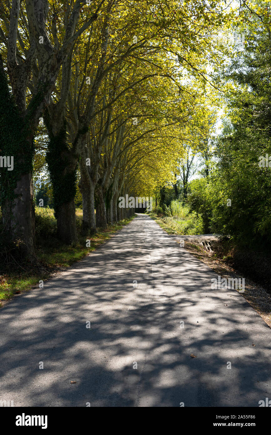 Quiet rural road close to San Remy, Provence, France Stock Photo - Alamy
