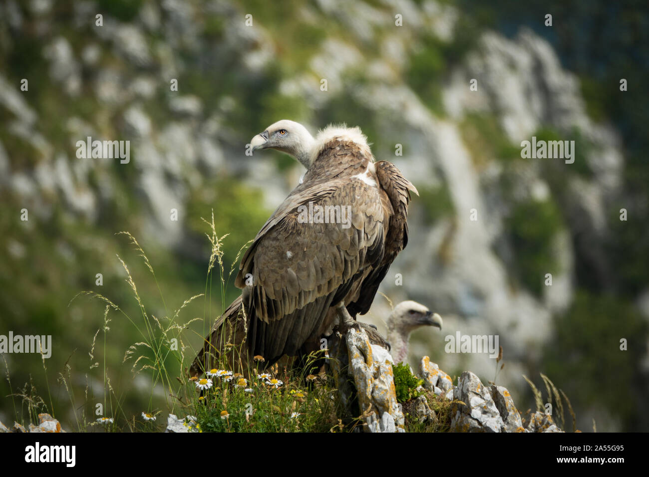Back profile hi-res stock photography and images - Alamy
