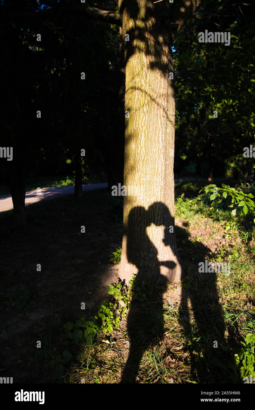 a shadow on the tree beautiful couple kissing Stock Photo - Alamy