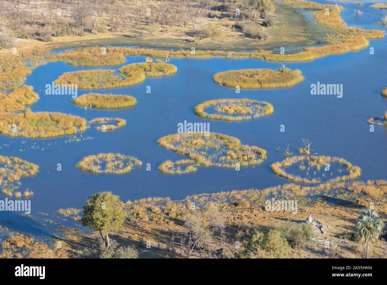 Birding in the okavango hi-res stock photography and images - Alamy