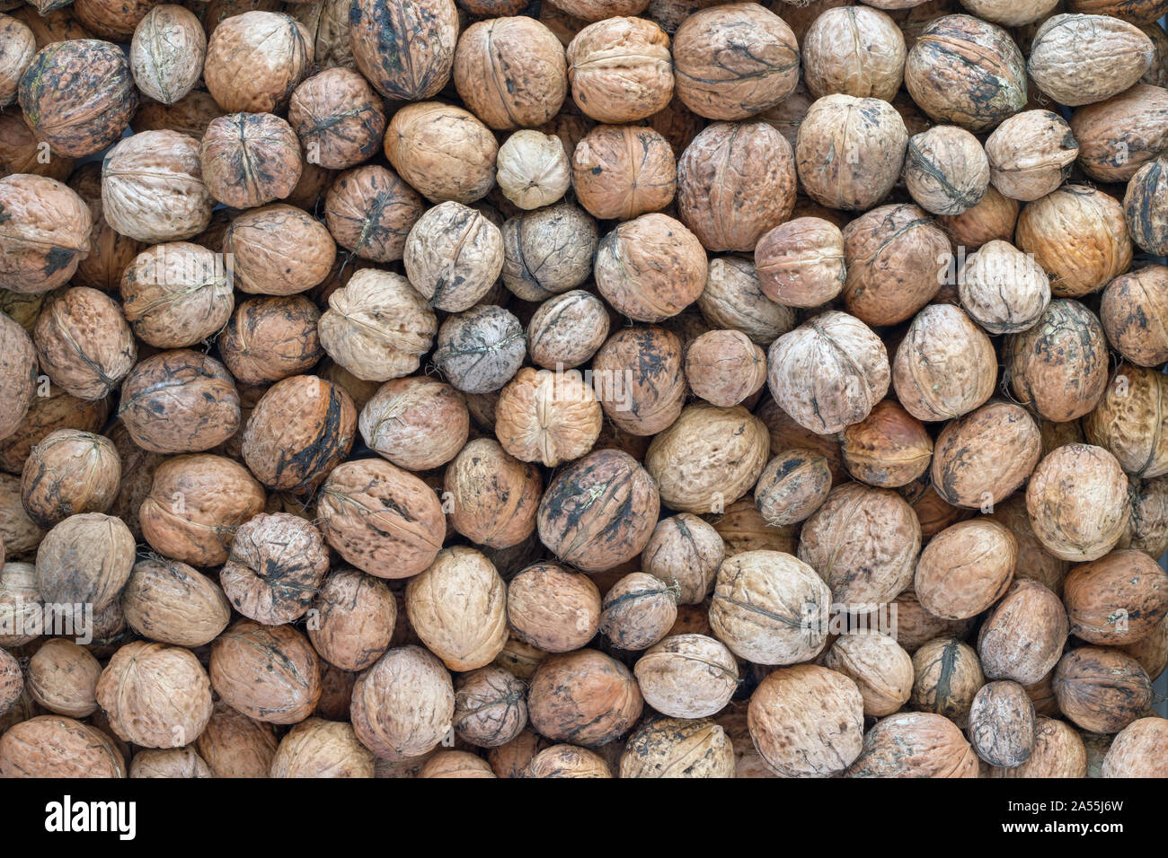 Fall fruits hi-res stock photography and images - Alamy