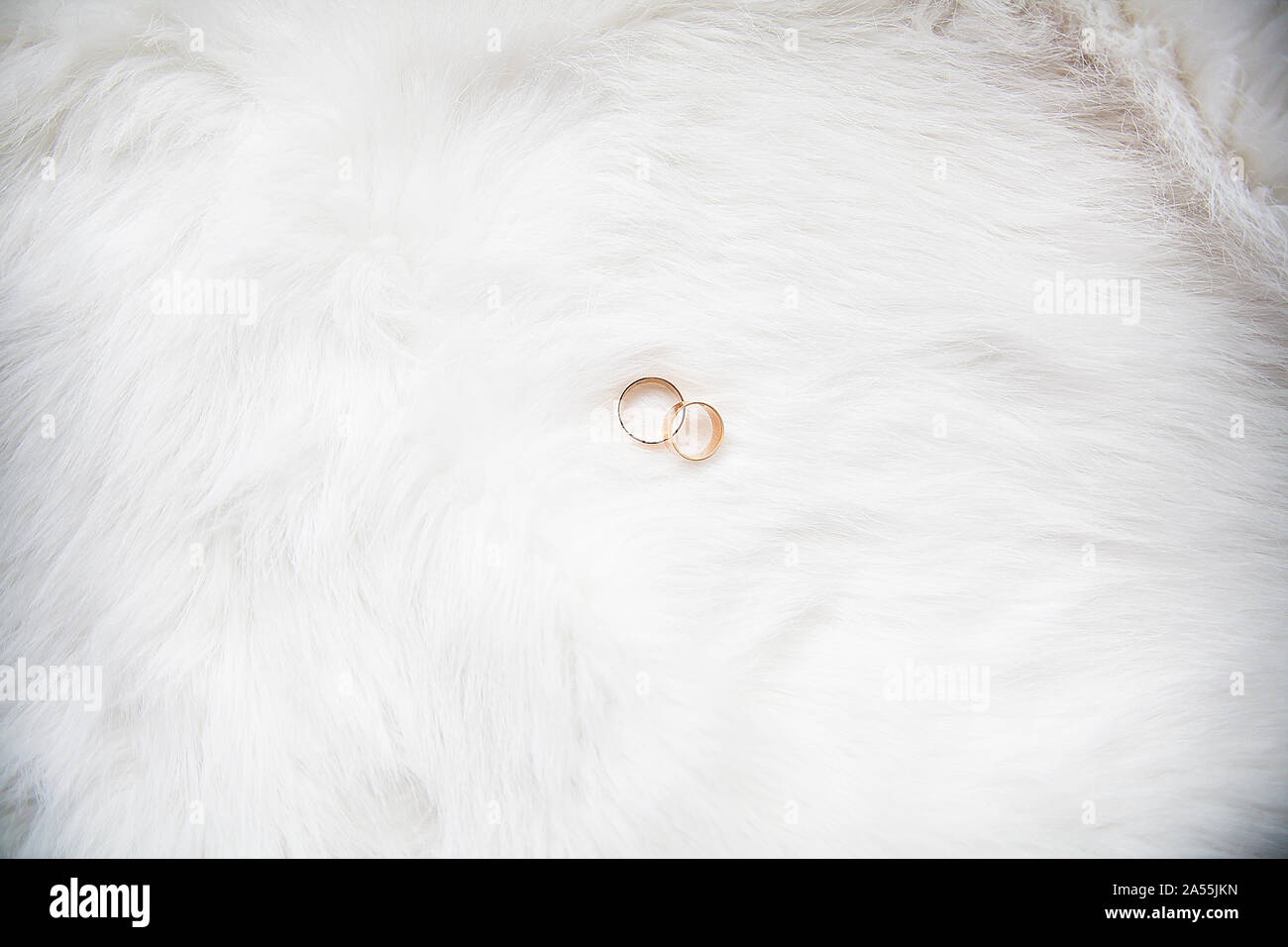 beautiful wedding rings on a white background Stock Photo - Alamy