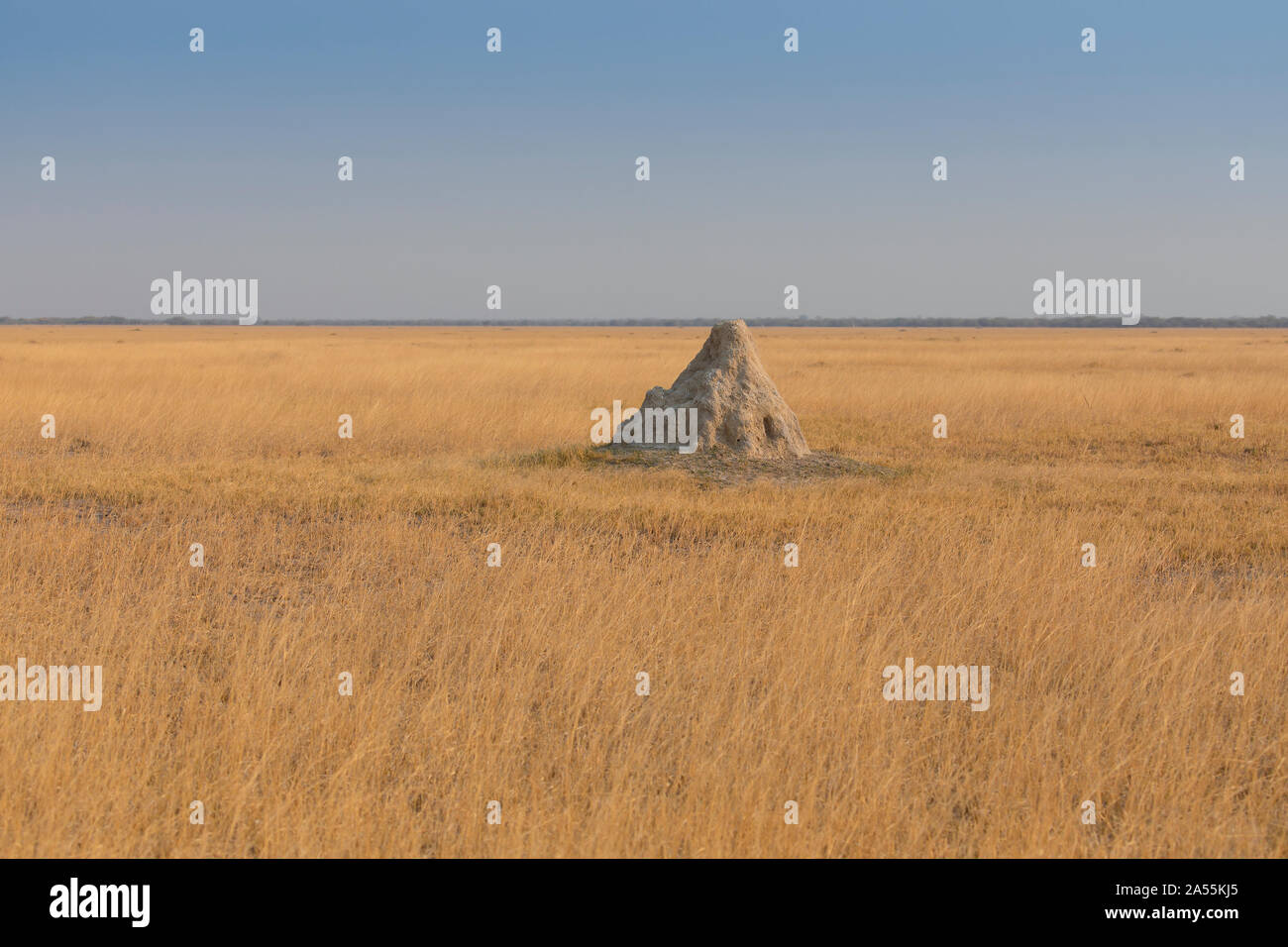 Savuti region hi-res stock photography and images - Alamy