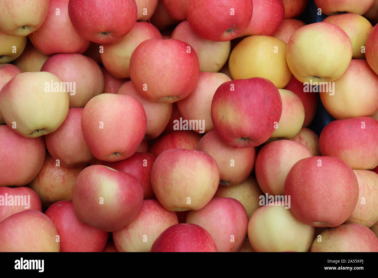 Fresh apples background texture, lots of apples Stock Photo - Alamy