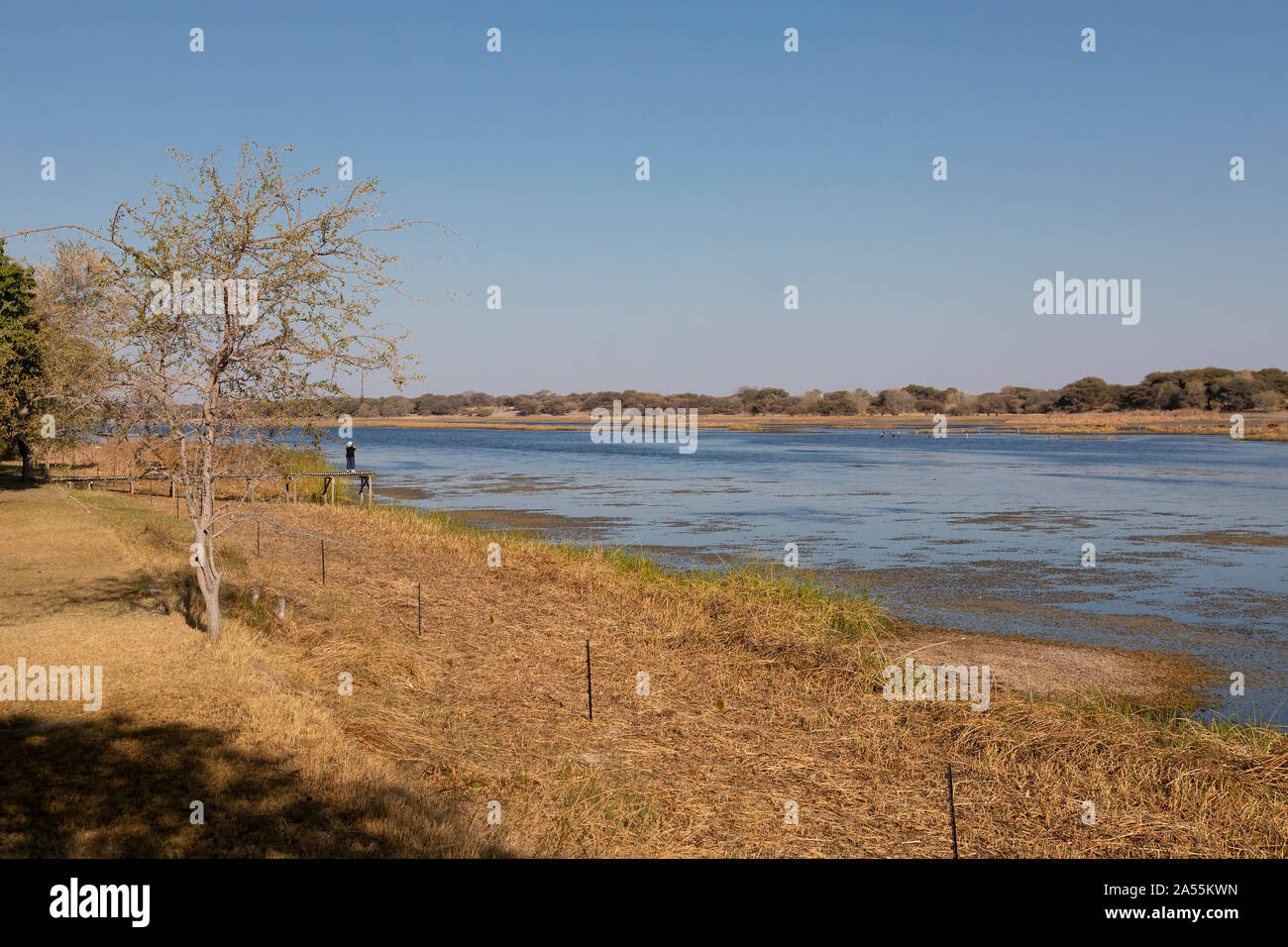 Boteti river hi-res stock photography and images - Alamy