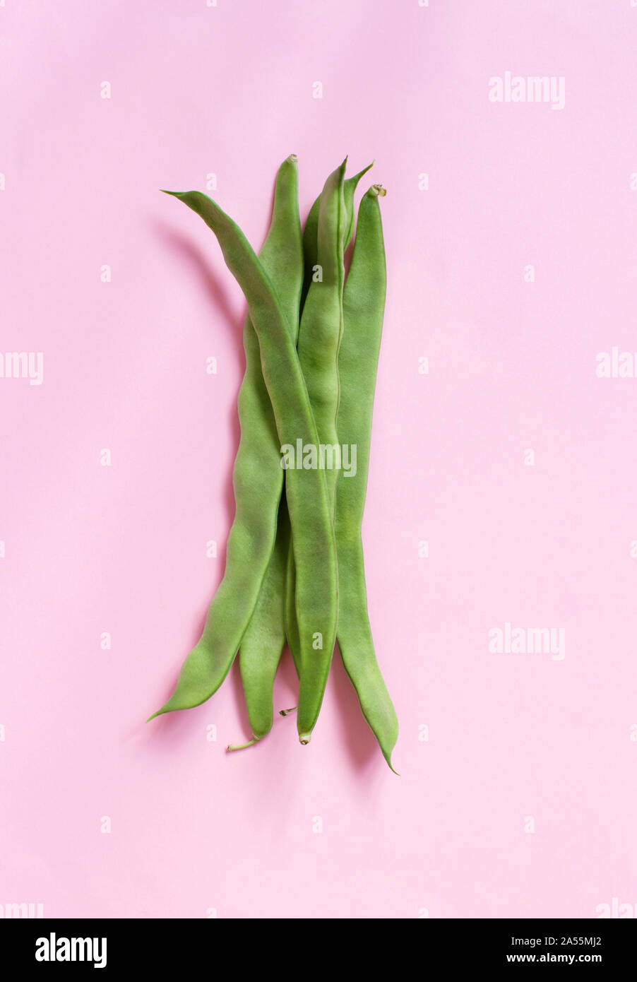 Piattoni green beans top view on a pink background Stock Photo - Alamy