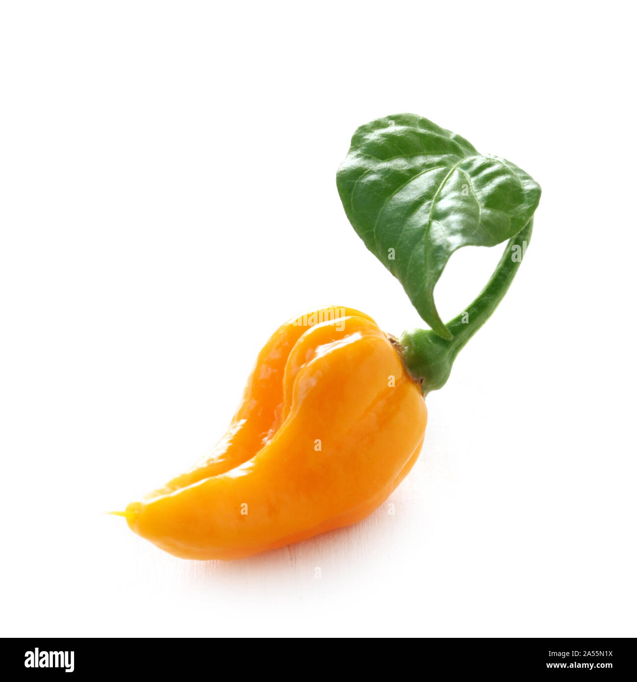 Small Yellow Chilli Pepper Isolated On White Stock Photo - Alamy