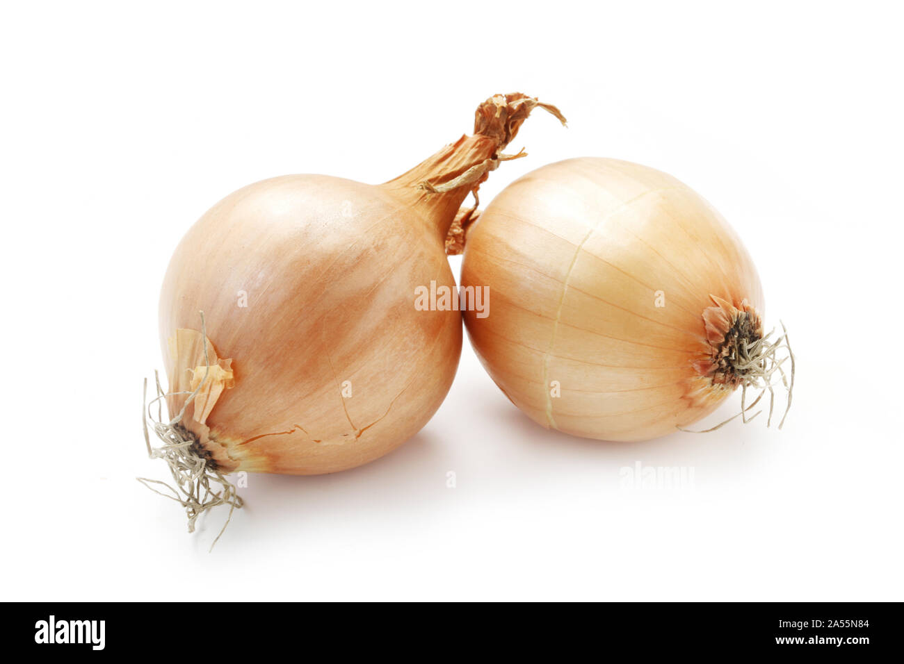 Two onions hi-res stock photography and images - Alamy
