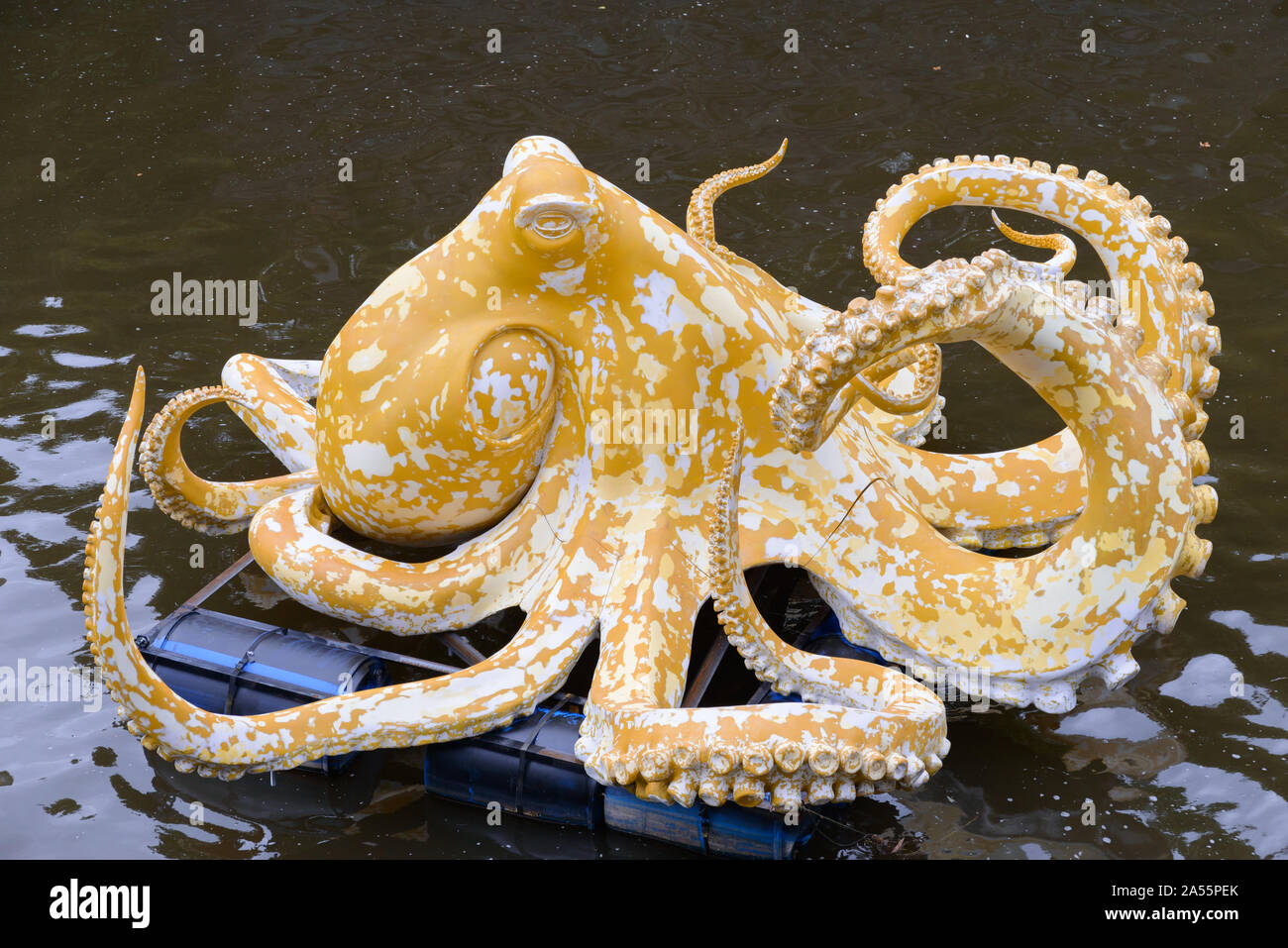 Capital of the octopus hi-res stock photography and images - Alamy