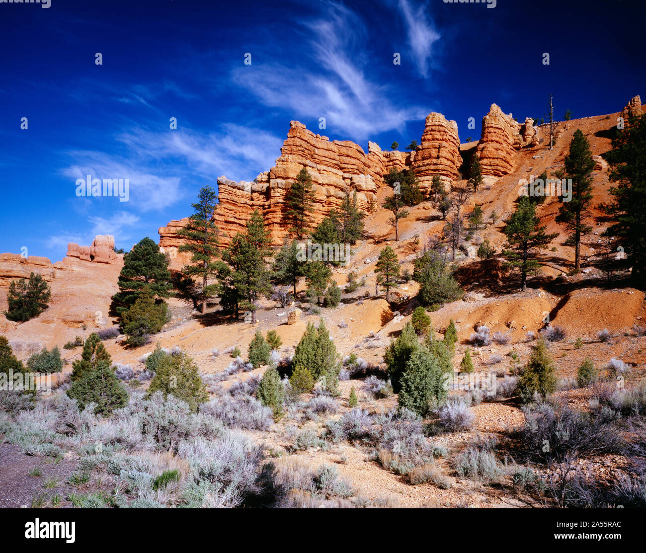 Utah's Red Canyon Stock Photo - Alamy
