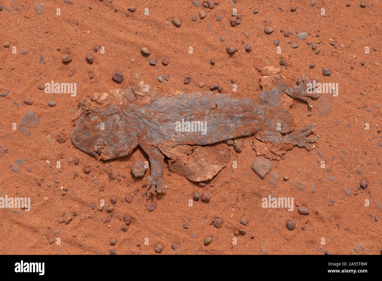 Crushed to death hi-res stock photography and images - Alamy