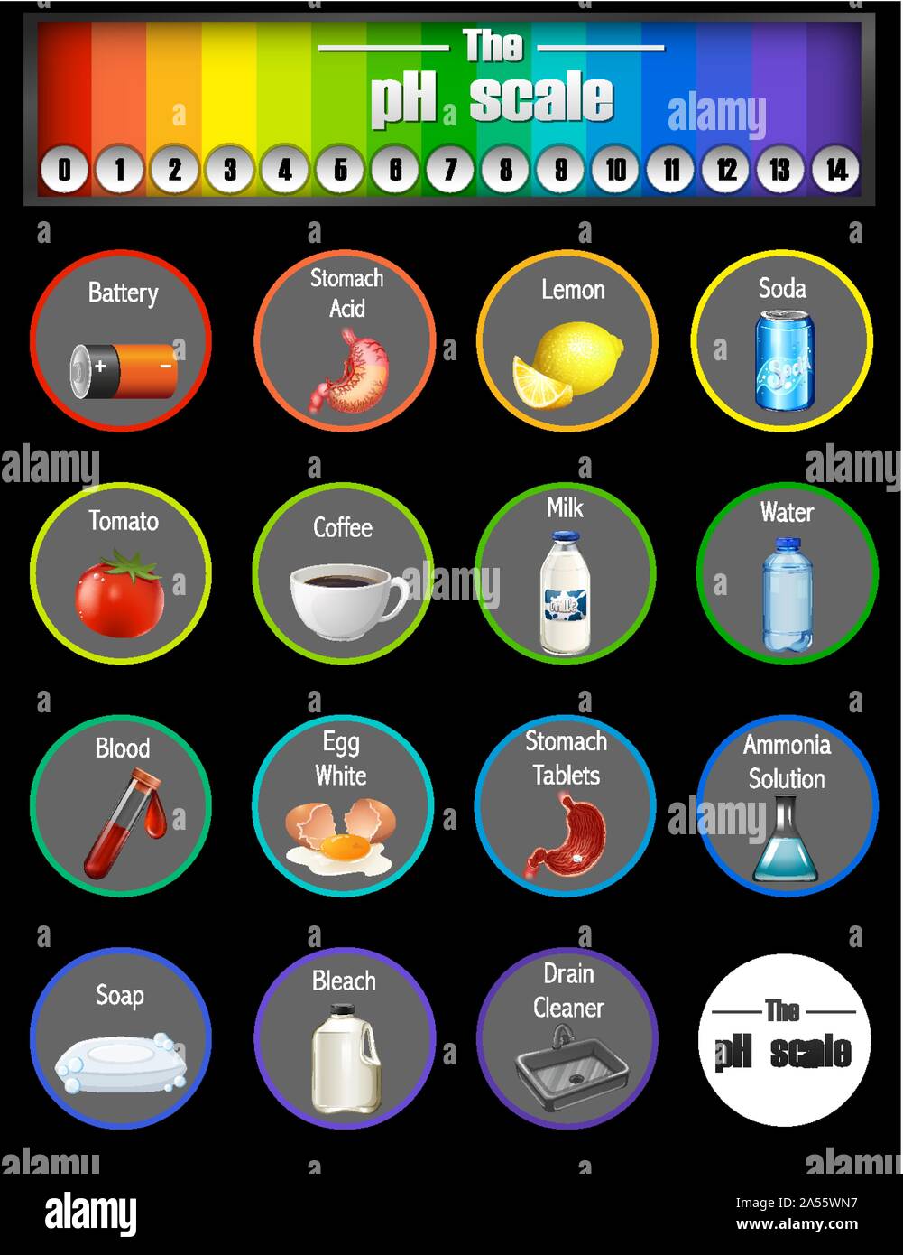 The pH scale with numbers and different samples illustration Stock ...