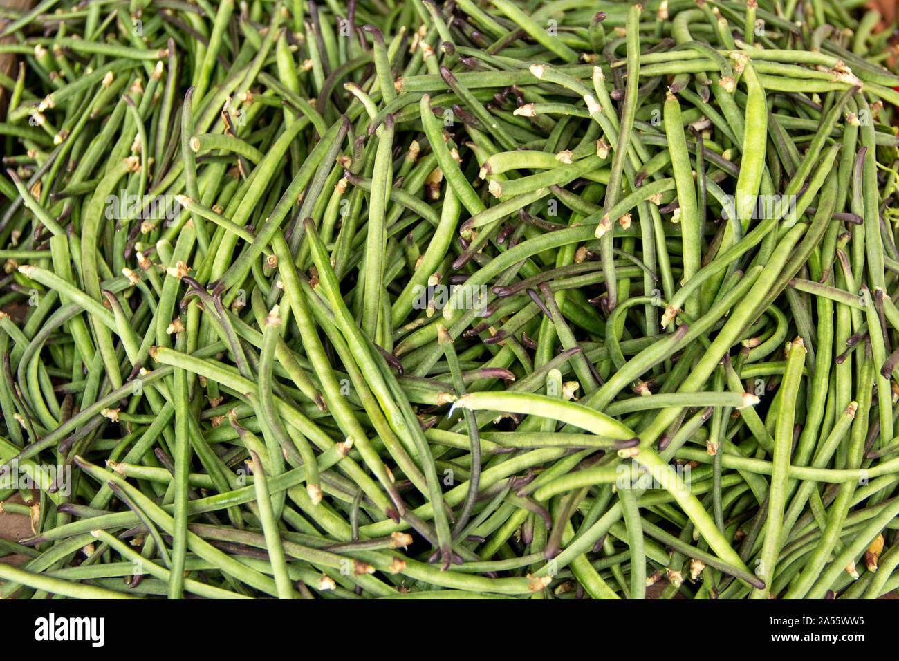 Chavali beans hi-res stock photography and images - Alamy