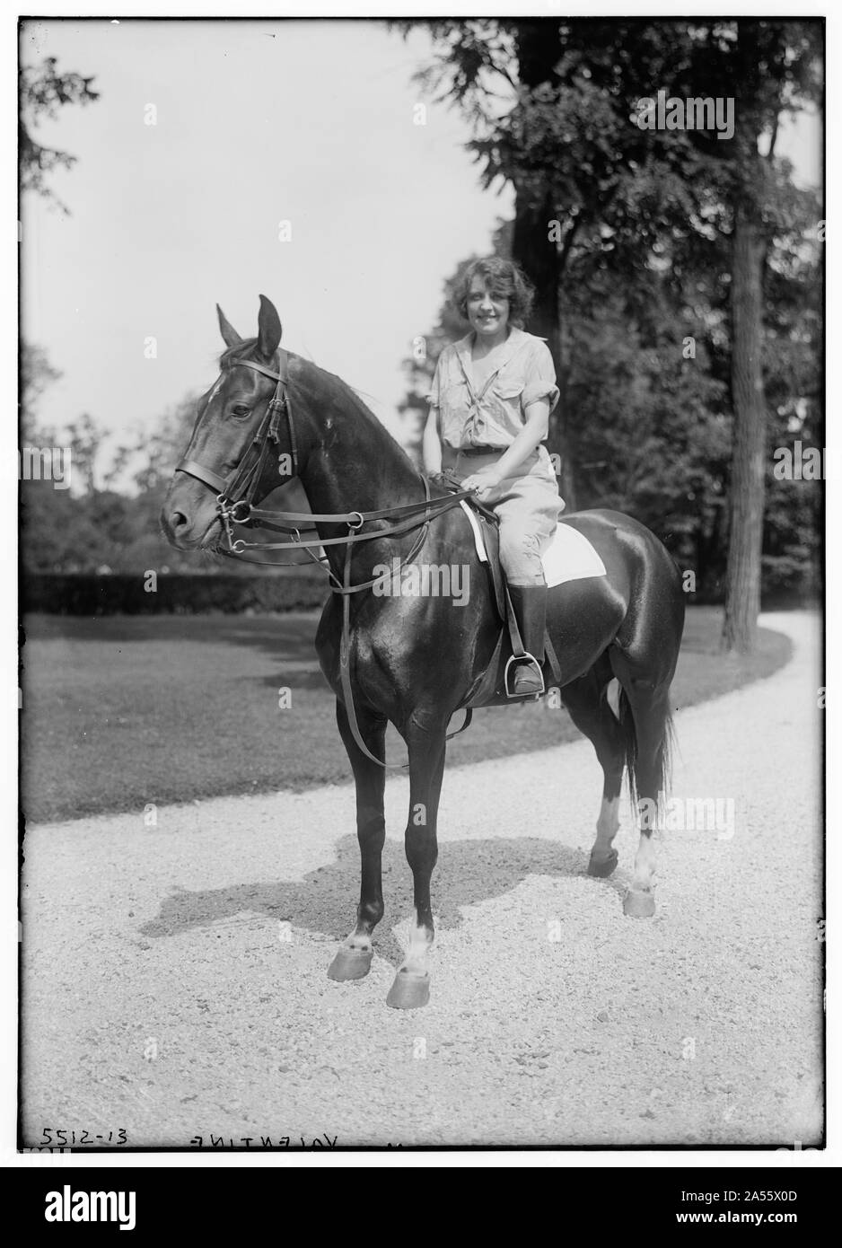 Horse animal portrait Black and White Stock Photos & Images - Alamy
