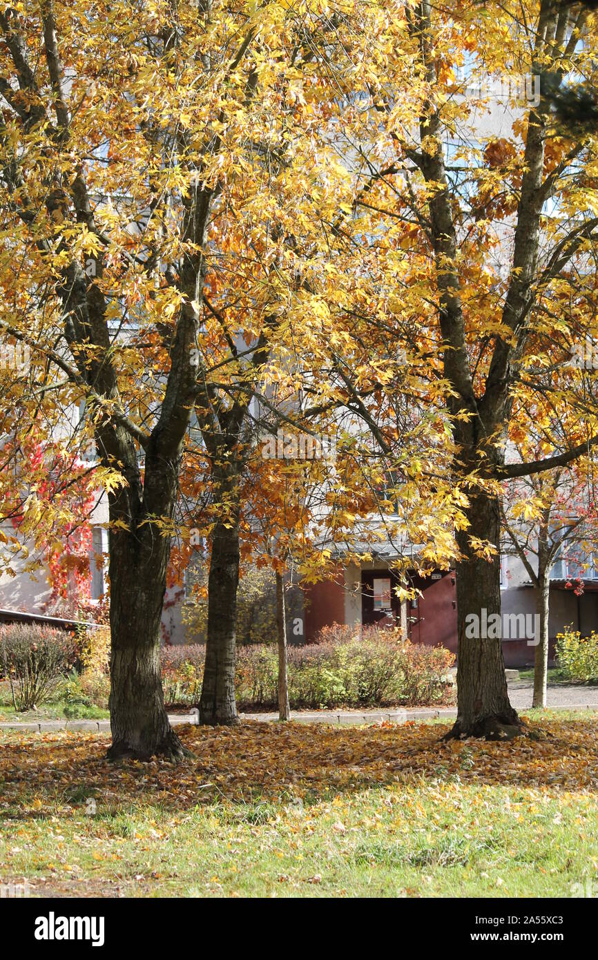 Calm day in the country hi-res stock photography and images - Alamy