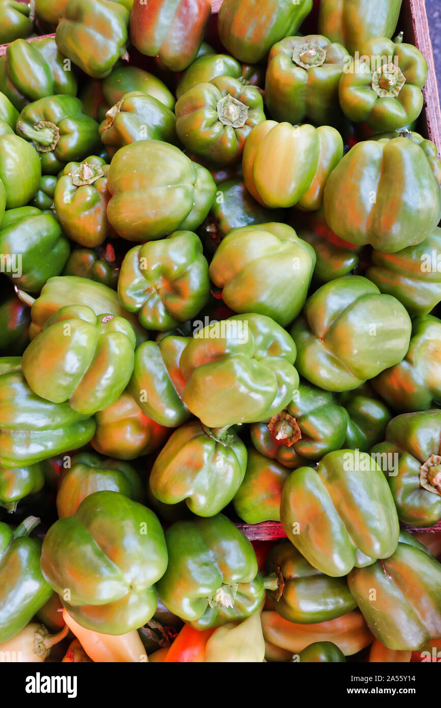 Variety green peppers hi-res stock photography and images - Alamy
