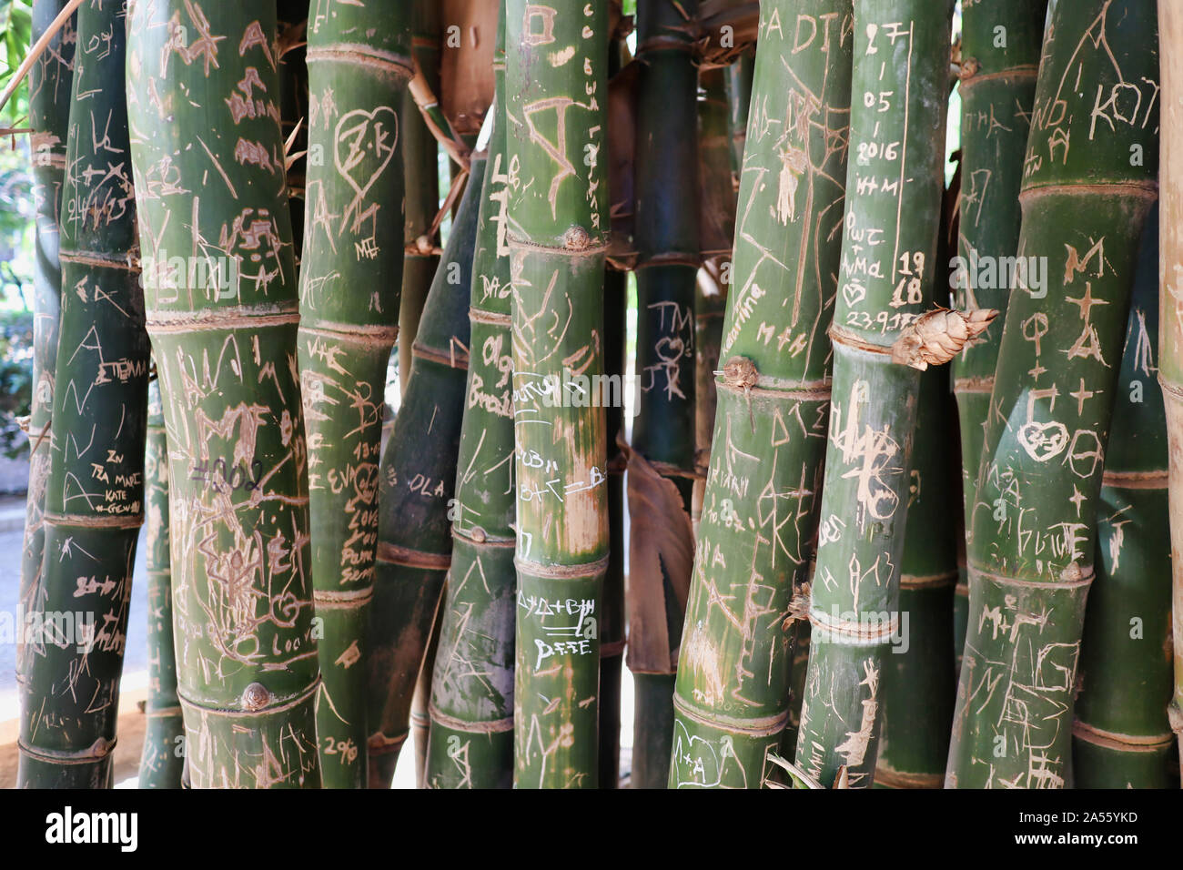 Bamboo with inscribed messages and symbols Stock Photo - Alamy